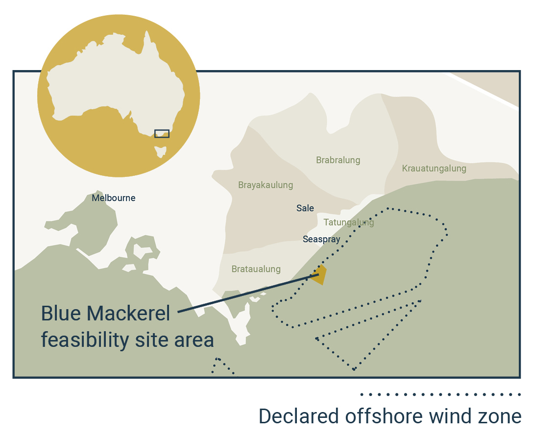 Blue Mackerel Offshore Wind Project - VRFish